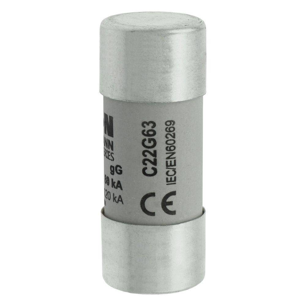 Bussmann C22G63 Cylindrical Time Delay Fuse Link, 63 A, 690 V, 125 A ...