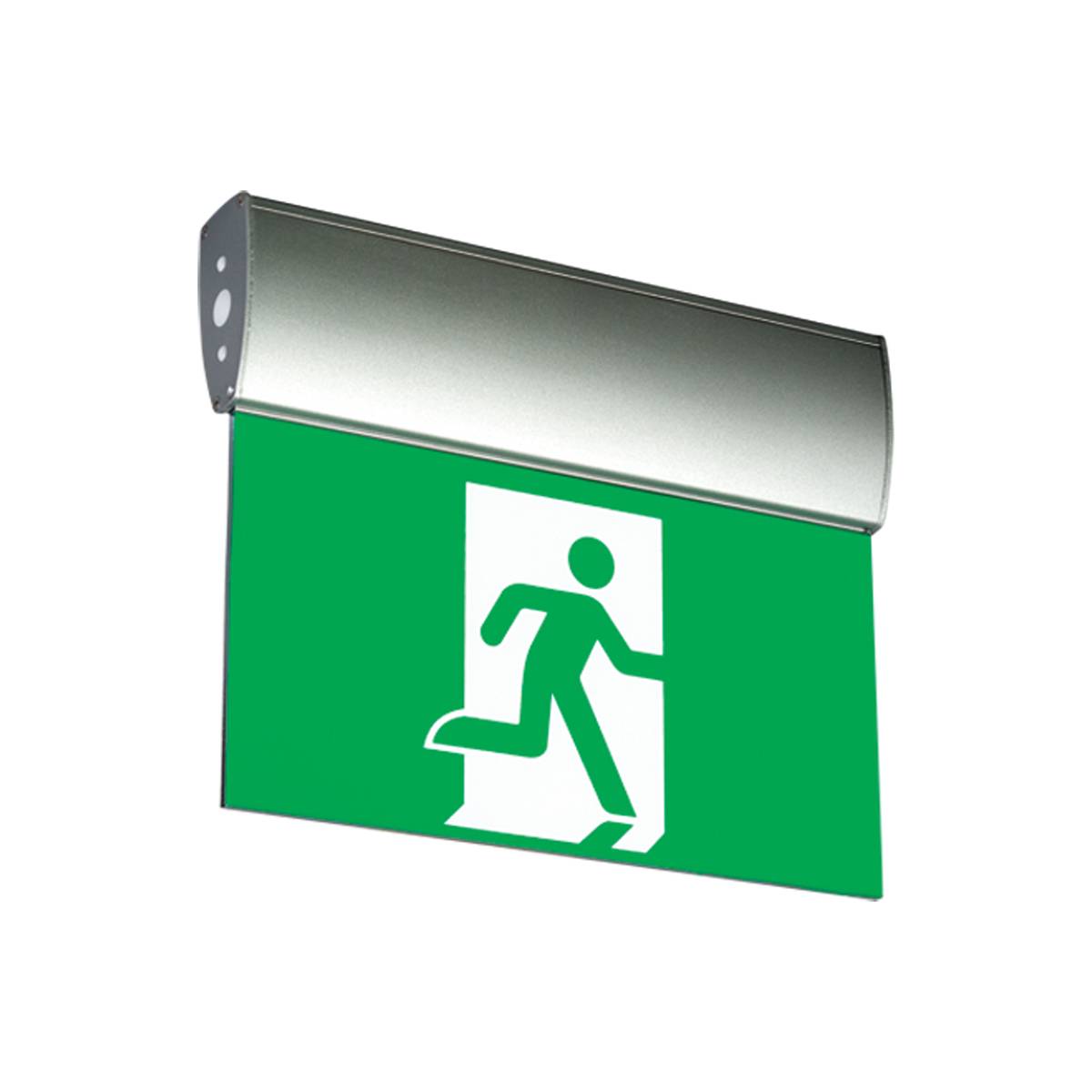 Emergi-Lite® EAEATAUI Double Face Pictogram Self-Powered Slim Profile ...