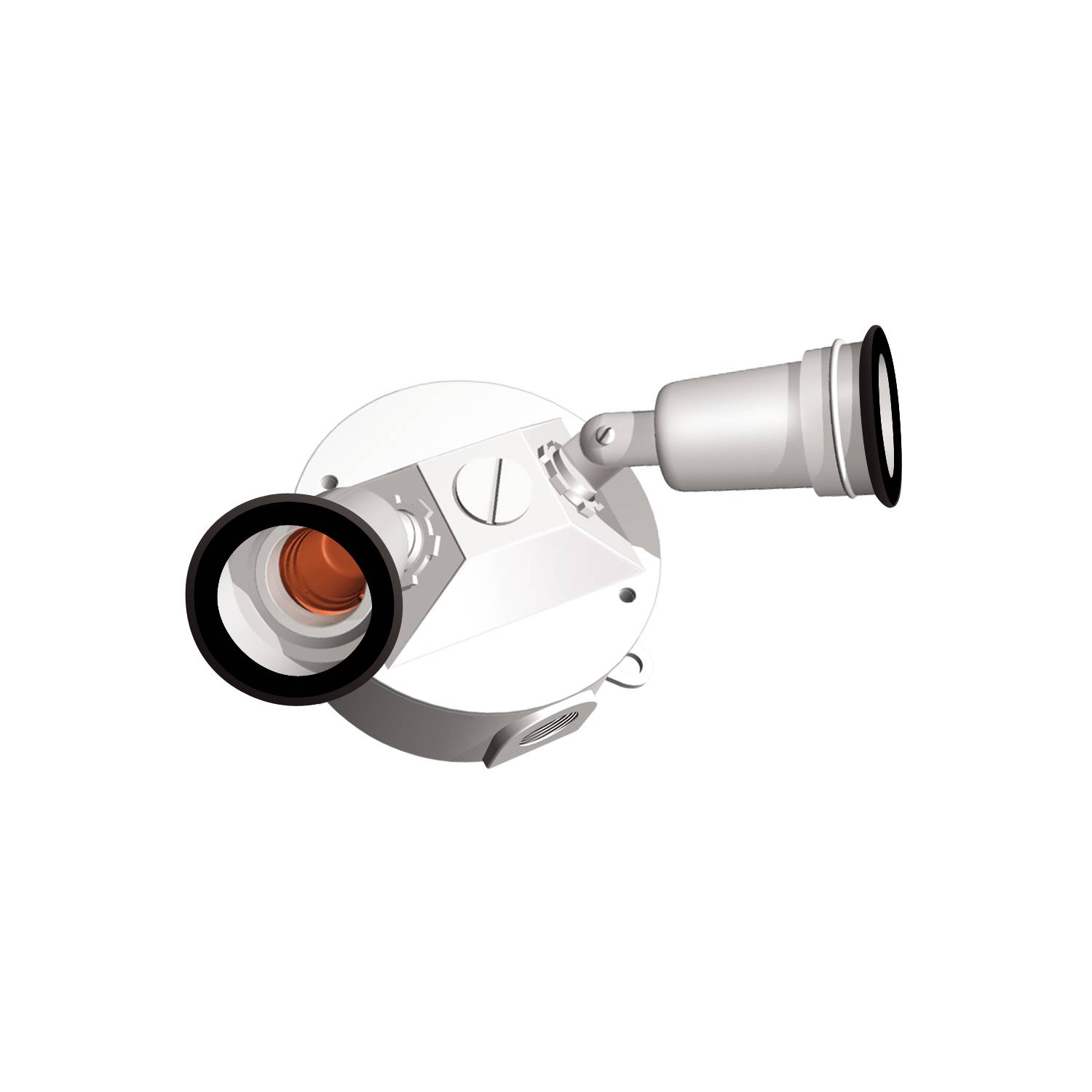 Red Dot® S212WHG 2-Lamp Outdoor Floodlight Swivel Traditional ...