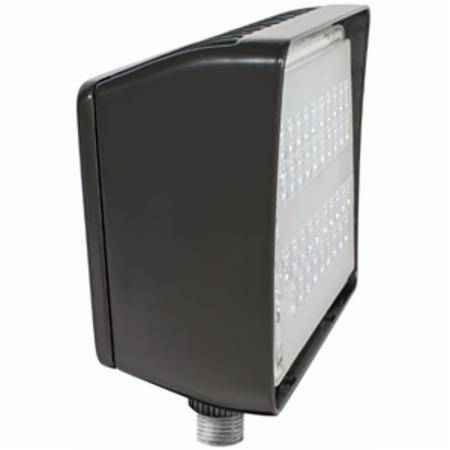 RAB Lighting Inc. PIP30/D10 Floodlight Fixture