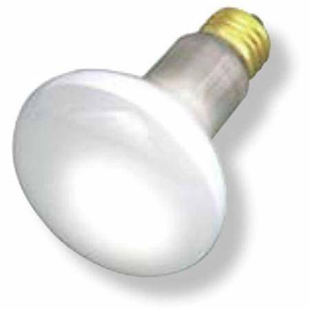 Satco Products Inc. S3849 Incandescent Lamp