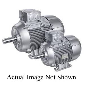 Siemens SIMOTICS 1LE10230EA422AA4 SD Series 2-Pole Eagle Line Low ...